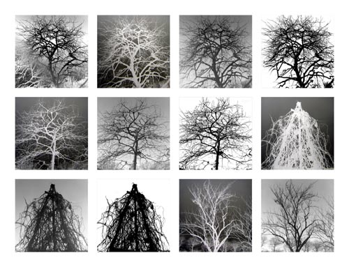 Exhibitions and Events!