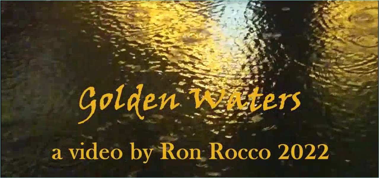 Ron Rocco / Work in Video