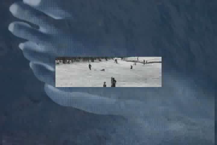 Exhibitions and Events!